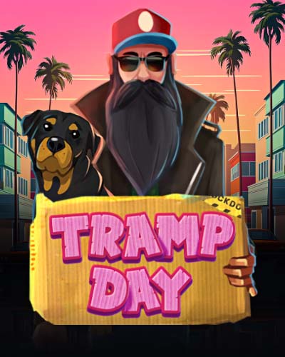 CasinoVibes – Premium Casino Games Selection