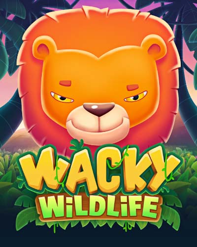 CasinoVibes – Premium Casino Games Selection